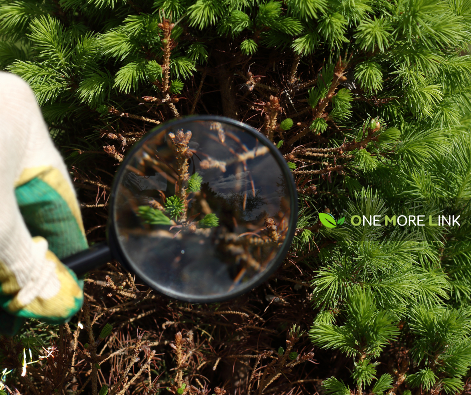 Environmental Quality Monitoring Services - One more Link